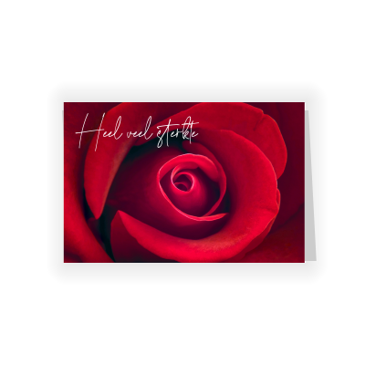 Heel veel sterkte kaart rode roos