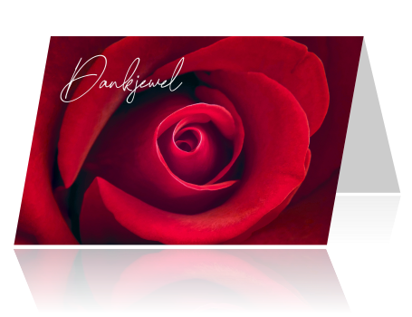 Bedankkaart rode roos dank je wel