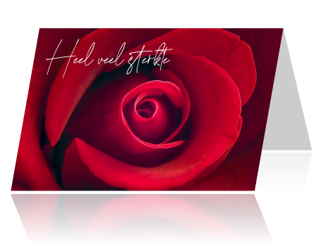 Heel veel sterkte kaart rode roos
